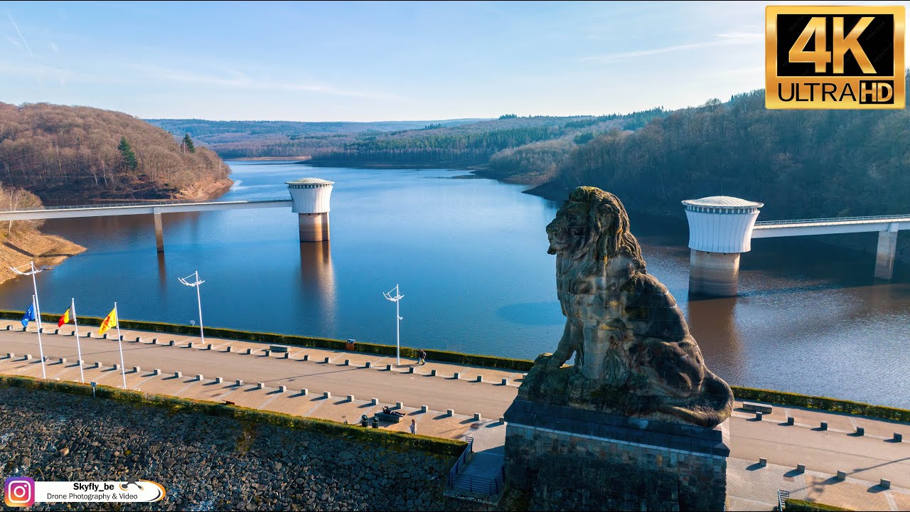 The Lion King of Gileppe lake (Jalhay - Belgium) - Drone footage Ultra ...