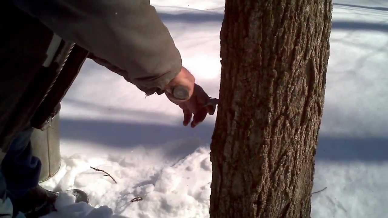 Entailler 2012 - YouTube