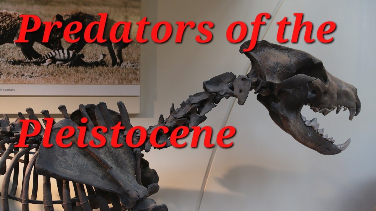 The Terrifying Predators of the Pleistocene - YouTube