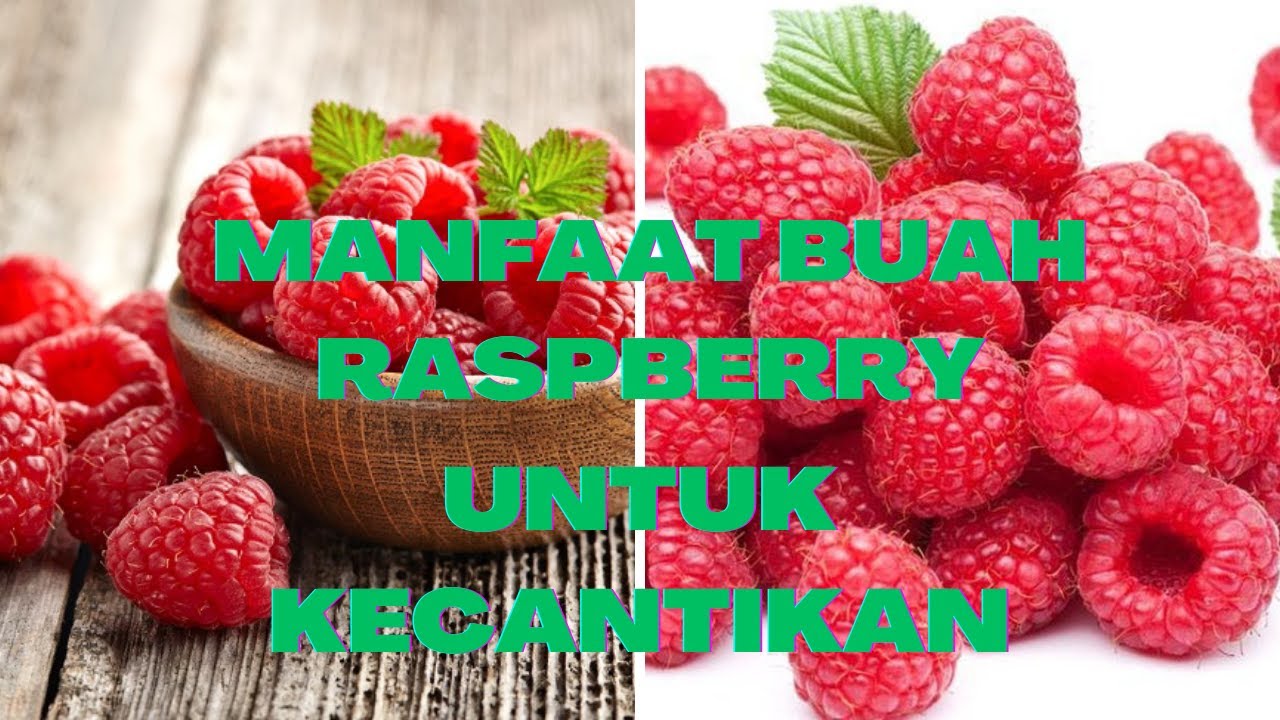 8 Manfaat Buah Raspberry untuk Kesehatan - YouTube