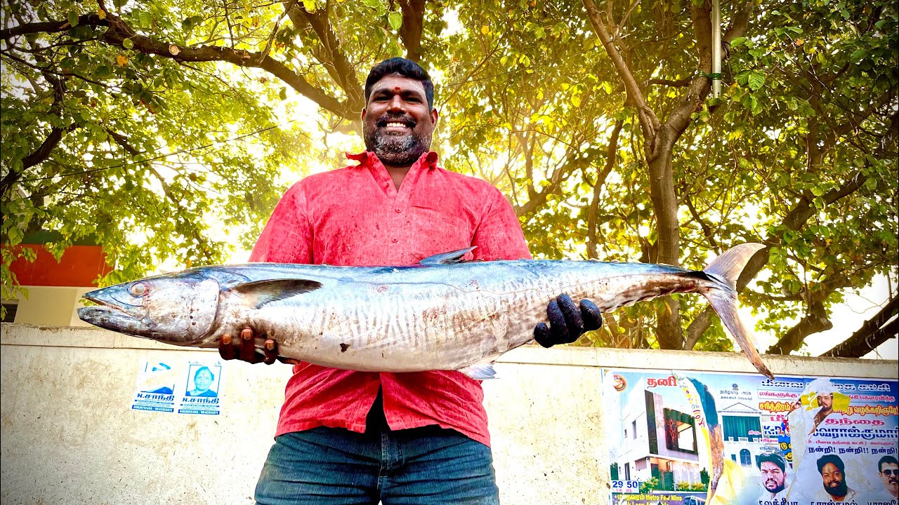 💥🤩MINNAL RAJA FISH CUTTING VIDEO ⁉️💢|FISH CUTTING |UK SONS MARINE - YouTube
