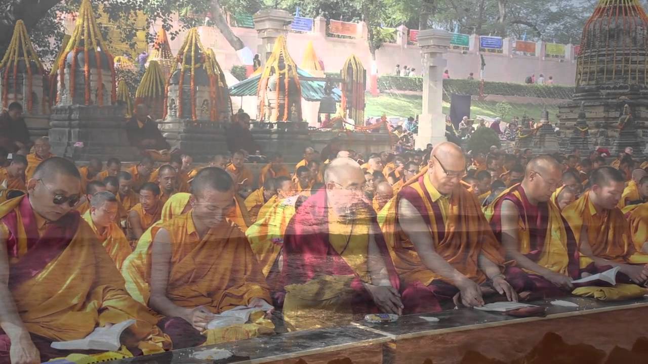 Calling the Lama from Afar - YouTube