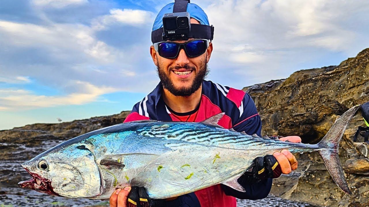 Rock Fishing For BIG Bonito And MACK TUNA (Live Bait) - YouTube