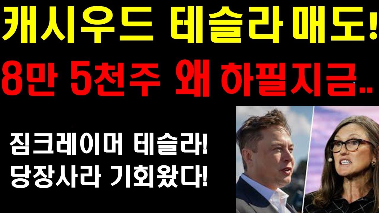 캐시우드 테슬라 대량매도 무려 8만5천주 던진이유 짐크레이머 테슬라 지금이 가장싸다 당장 사야할 주식 테슬라 언론들 테슬라