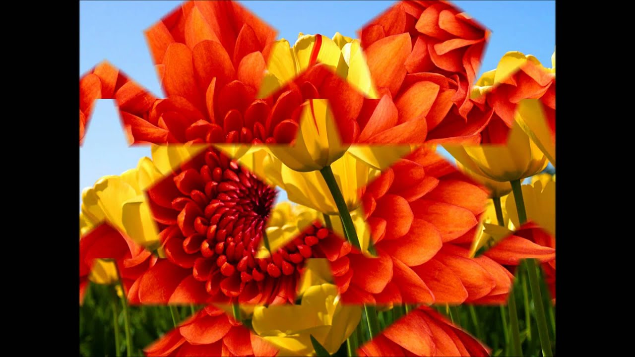 RAGULAN VIDEO HD - YouTube