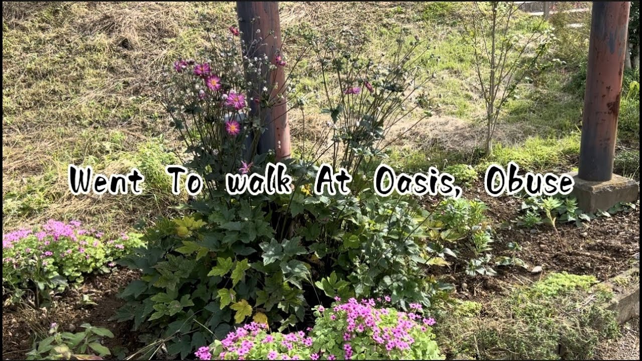 Taking A Walk In Oasis, Obuse Nagano(200th) #obuse#walk - YouTube