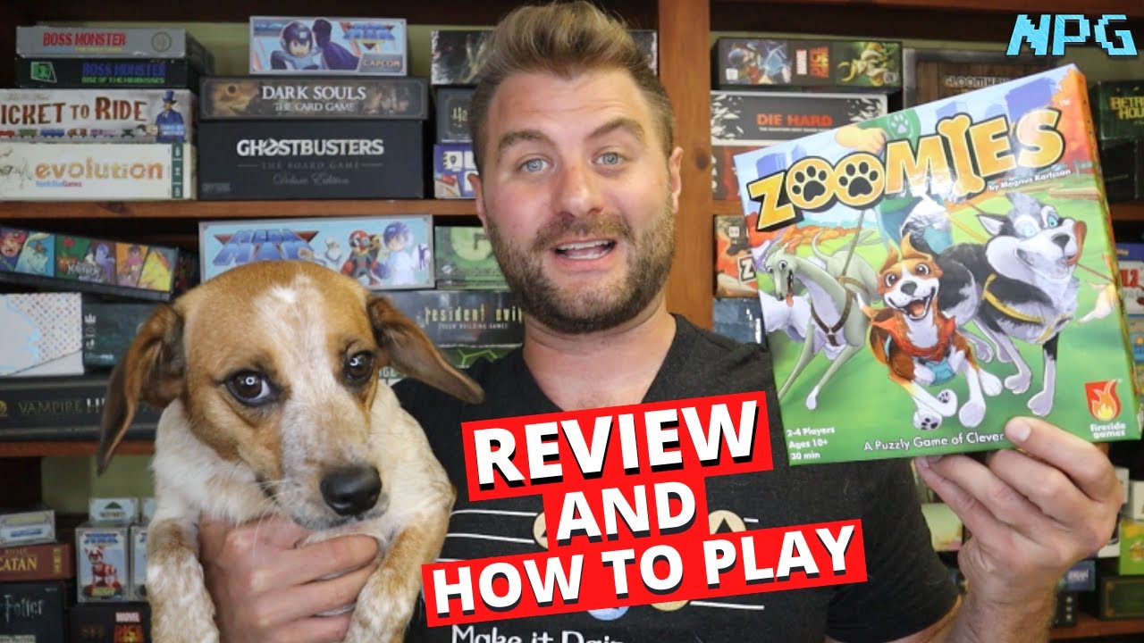Zoomies Board Game Review and How to Play - YouTube
