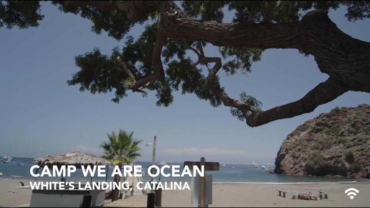 Jack Shimko's We Are Ocean Camp (Ocean-Based Adventures for Cancer ...