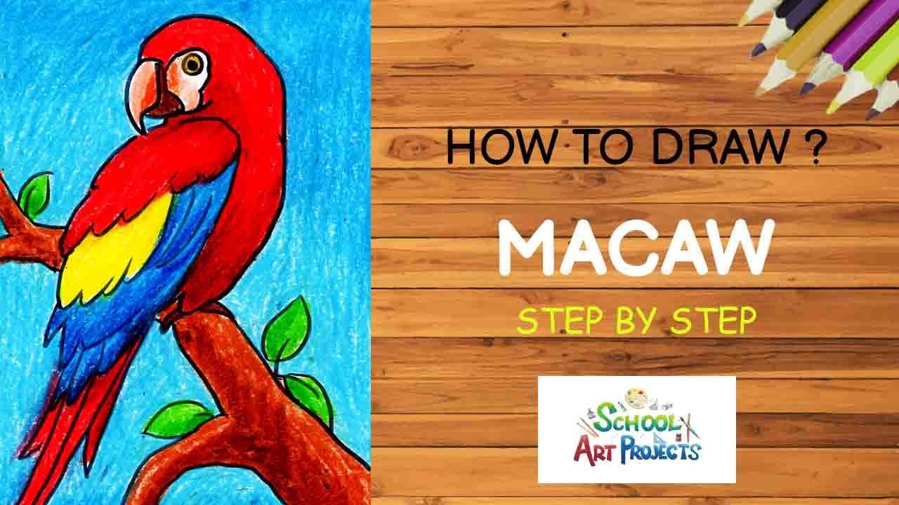 How to DRAW a Macaw for kids _Step by step - YouTube