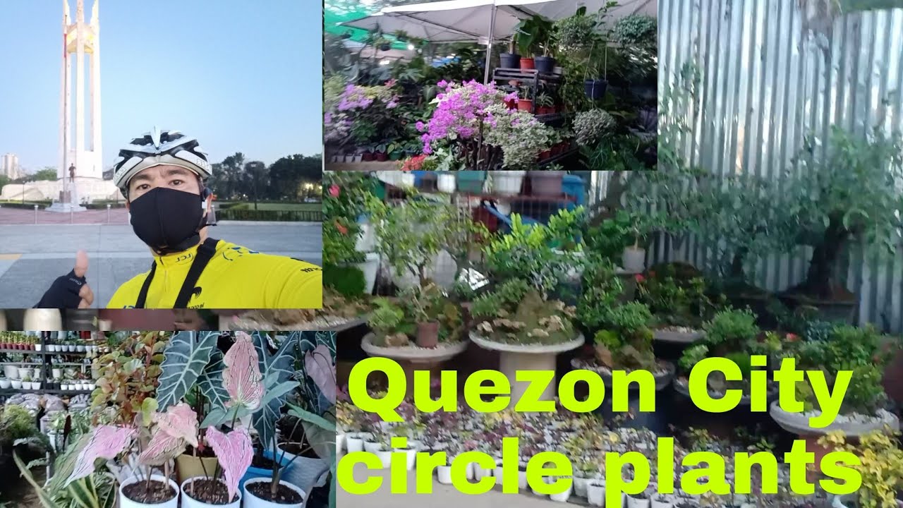QUEZON CITY MEMORIAL CIRCLE PLANTS TOUR - YouTube
