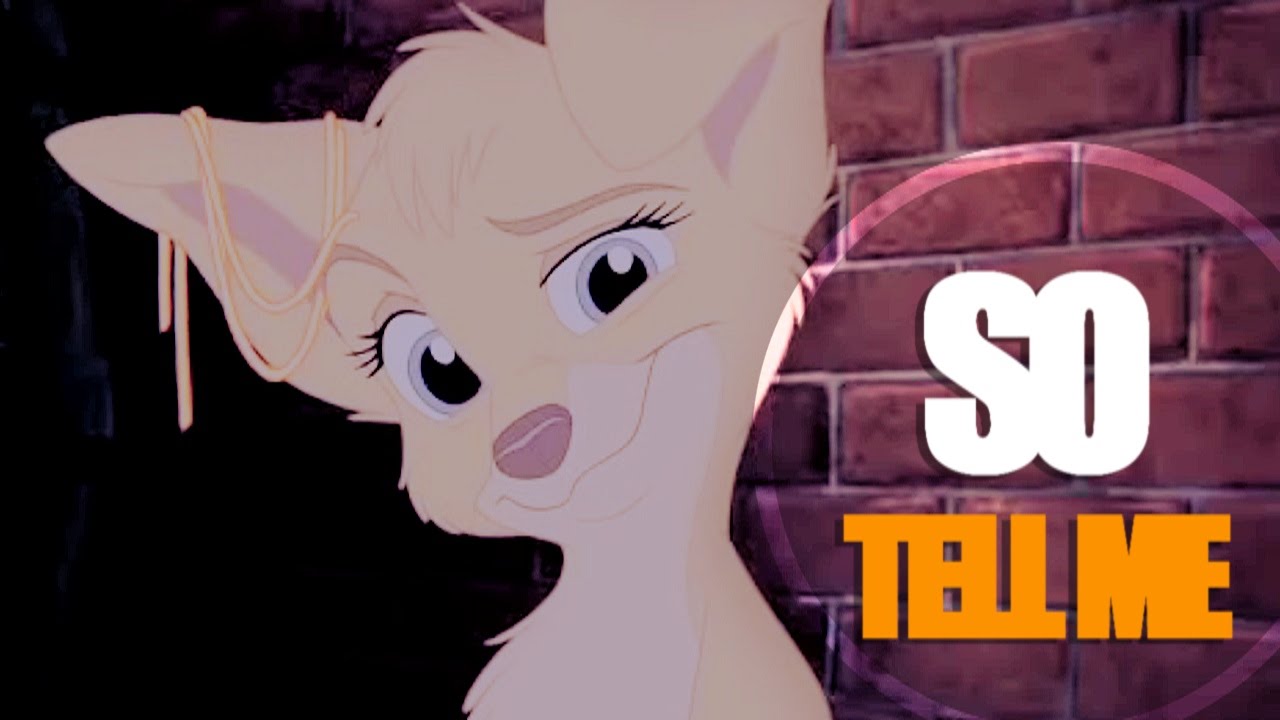 So tell me ♥ Dedications! »What are you waiting for? - YouTube