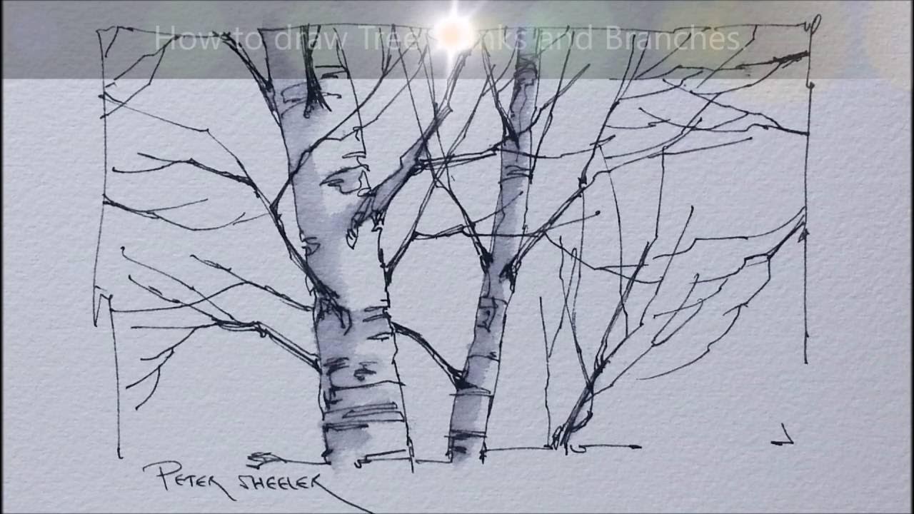 Tips and Techniques for drawing Better Tree trunks and Branches. Quick ...