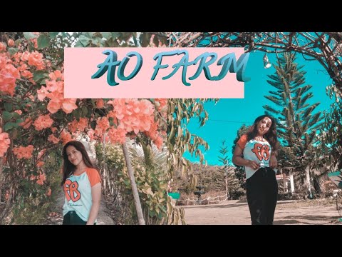 Exploring AO Farm - YouTube