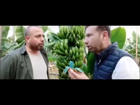 Dünyanın en haklı adamı NET