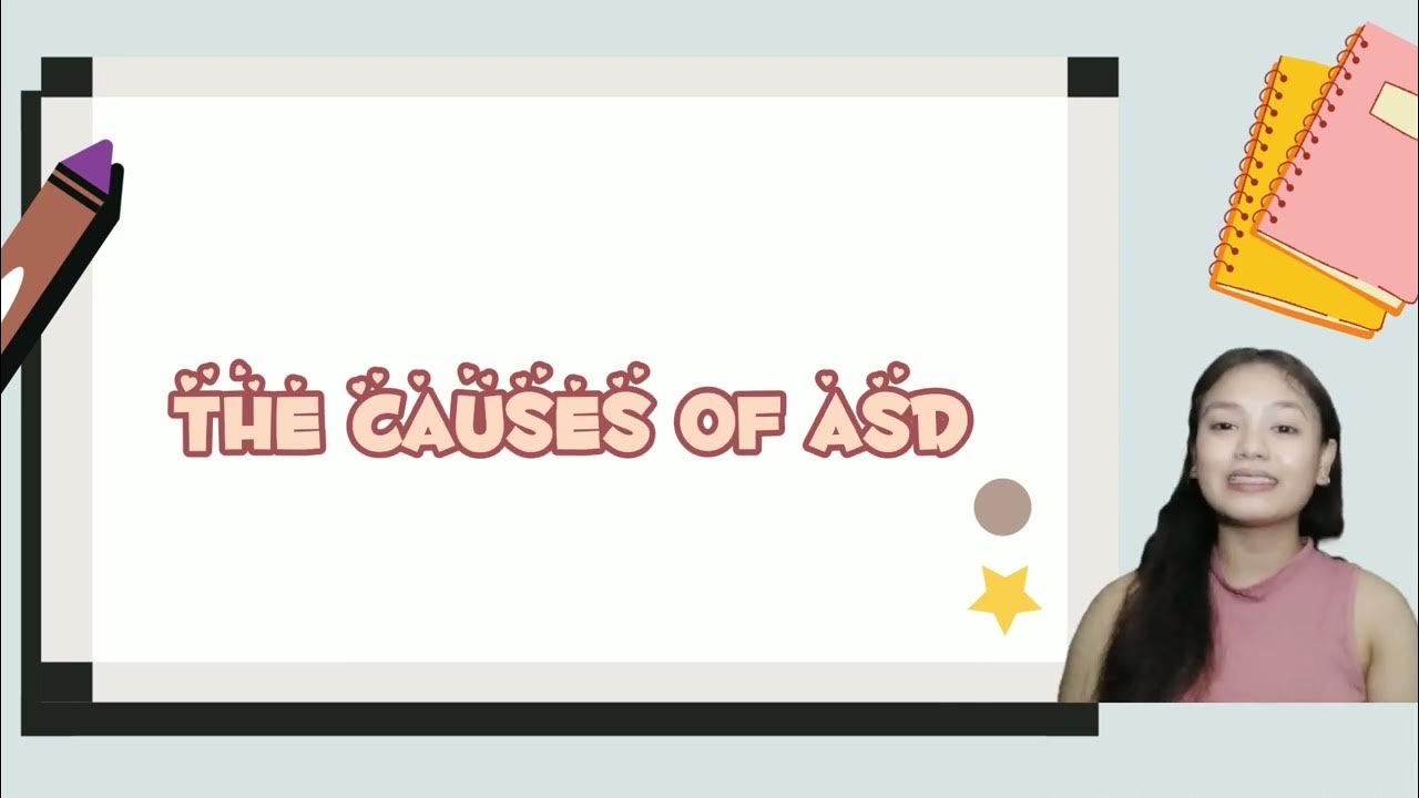 3 Different Types Of Developmental Disabilities YouTube 3-different-types-of-developmental-disabilities-youtube