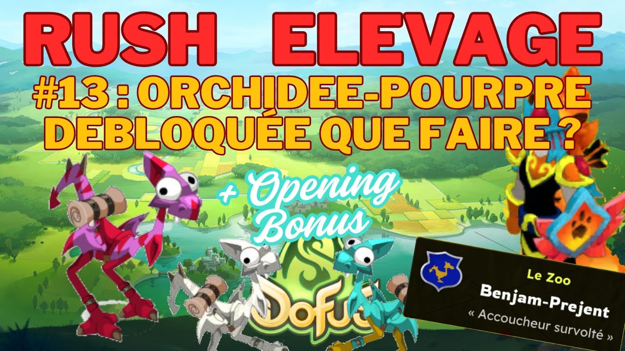Rush Elevage #13 : Astuce Opti Rush + Opening Tenta Ivoire et Turquoise 🎁 - YouTube
