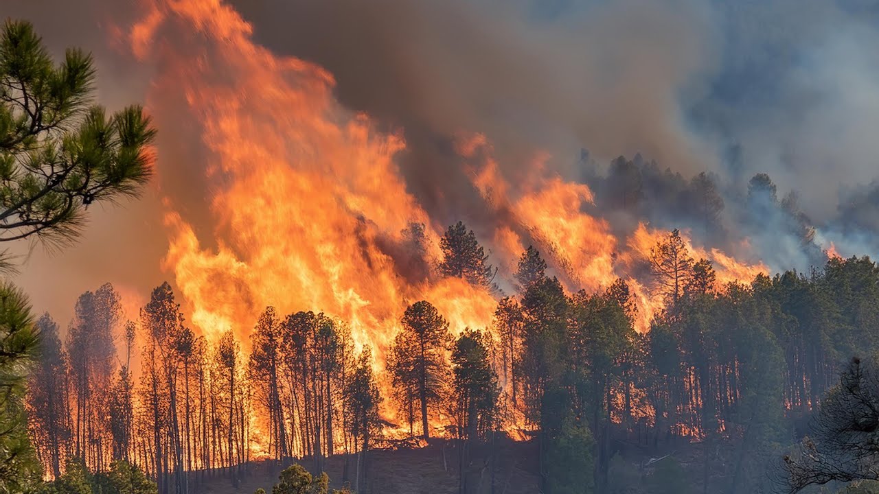 American Wildfires 2025: Current Status and Losses - YouTube