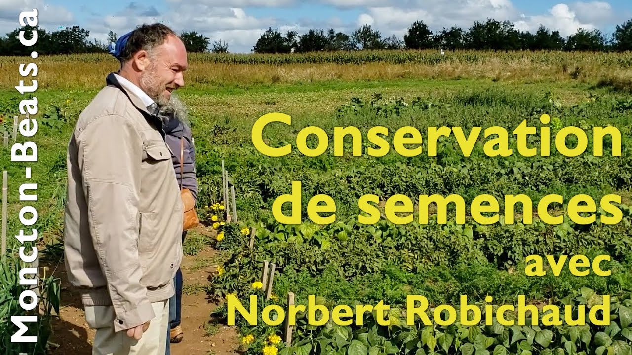 Conservation de semences avec Norbert Robichaud - YouTube