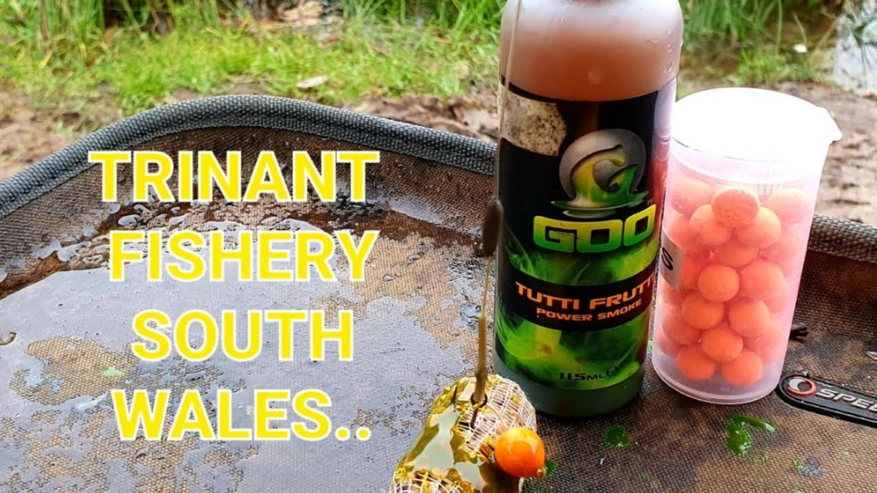 TRINANT FISHERY SOUTH WALES... - YouTube