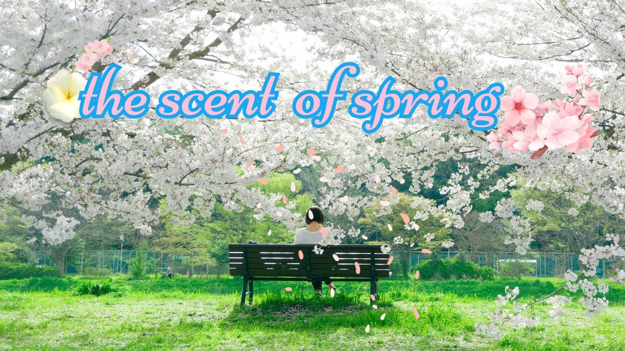 The scent of spring is around us, 싱그러운 봄의 향기 - YouTube