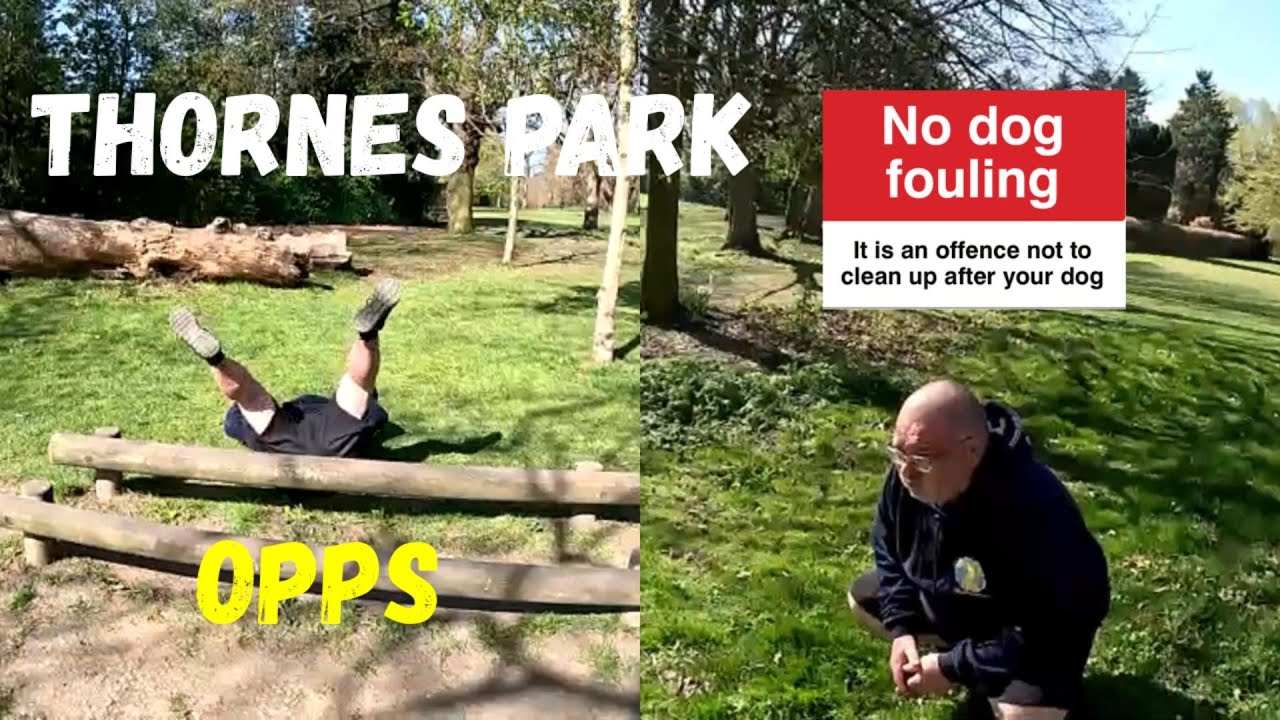 Epic Fail: Fell Off a Log… Then Had to Poop in a Field - YouTube