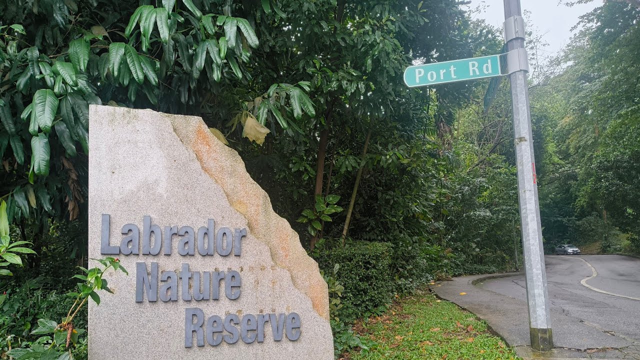 How To Get To | Labrador Nature Reserve Singapore - prepare to walk ...