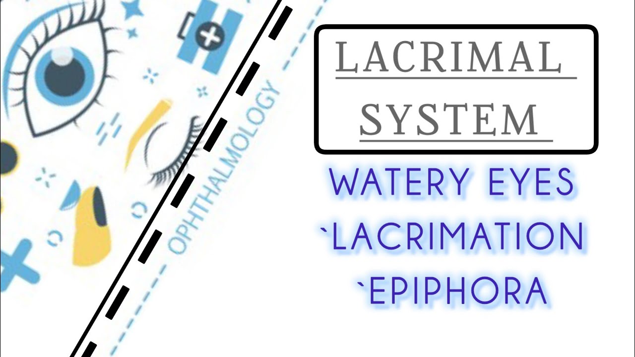 LACRIMAL SYSTEM LECTURE -5 |WATERY EYES LACRIMATION & EPIPHORA| - YouTube