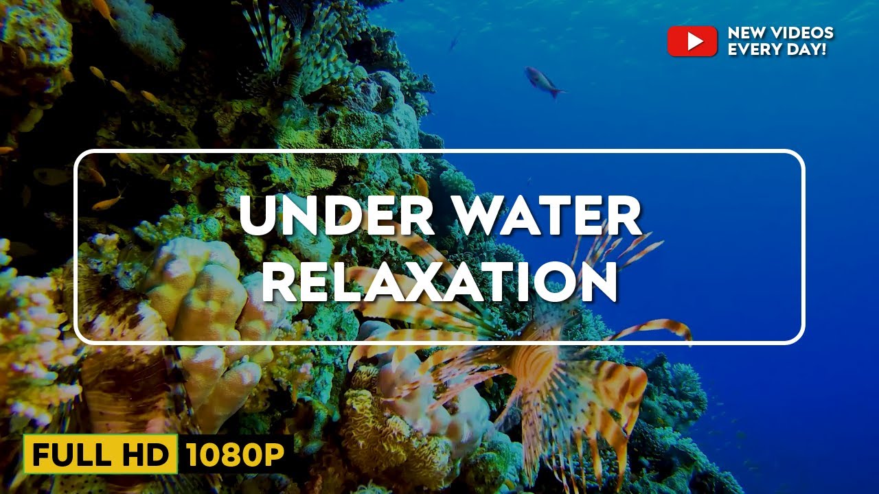 PEACEFUL UNDERWATER Sounds for DEEP SLEEP 🌊 Deep OCEAN ASMR/Ambience ...