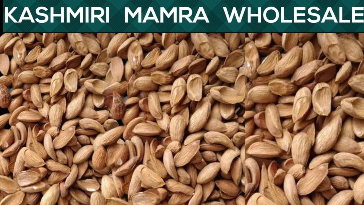 Mamra badam | Kashmiri Almond | king of mamra badam Best quality 💯 ...
