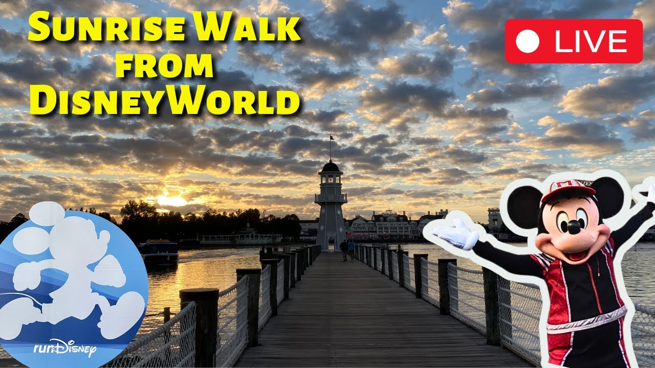 🔴LIVE🔴 45 Min Walk or Run Treadmill Series POV at Disney World ...