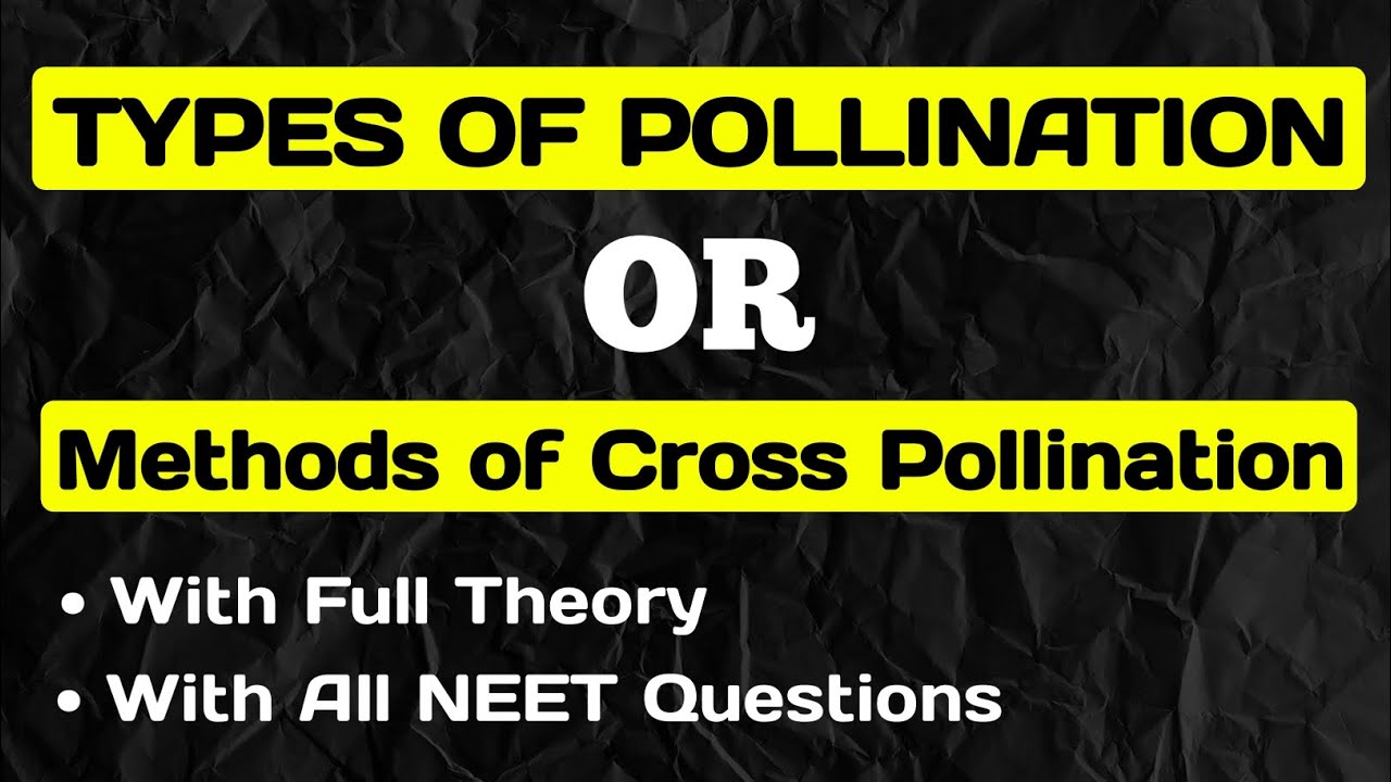Types of Pollination||Methods of Pollination||Class 12th Pollination ...