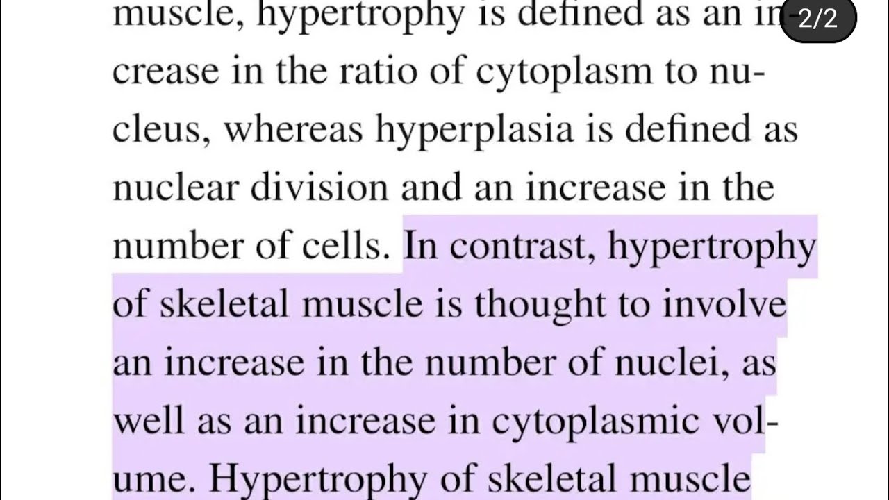 Recap On HYPERPLASIA Nuclear division to support further muscle growth ...