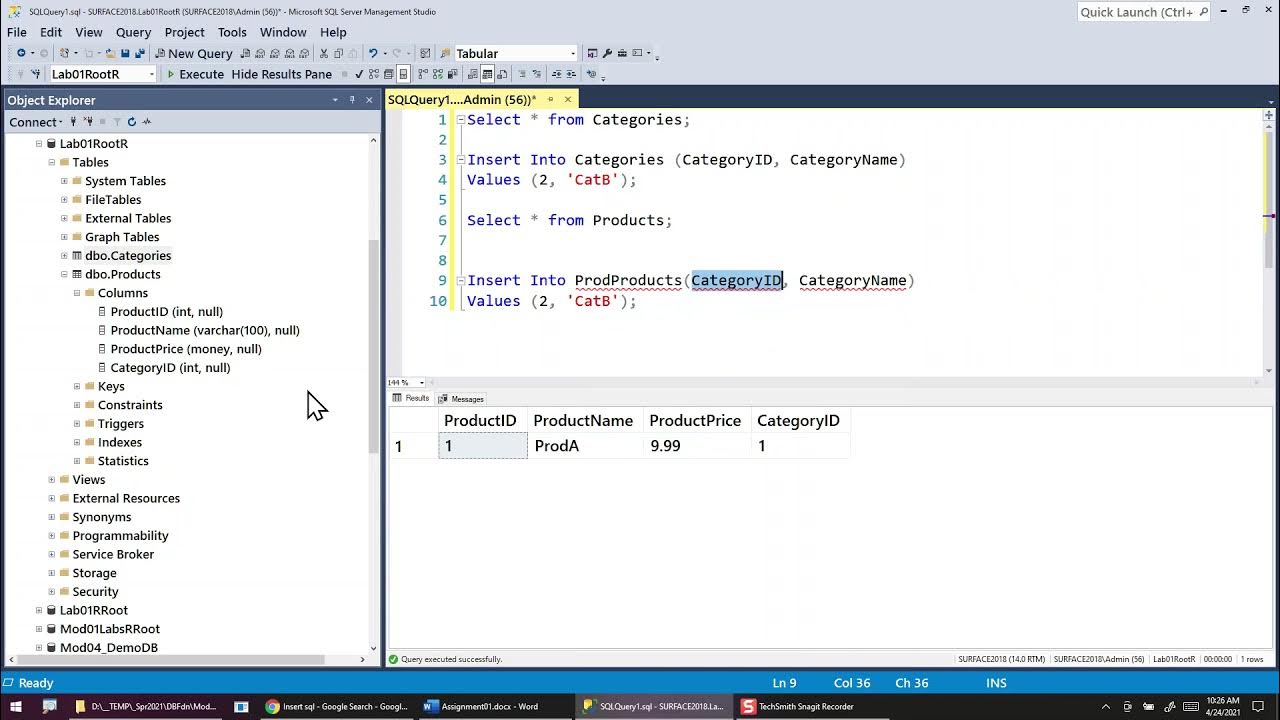 Validating tables by inserting data - YouTube