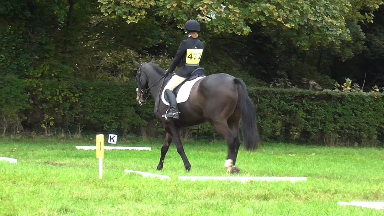Broadway Novice Dressage (British Eventing novice test 110). - YouTube