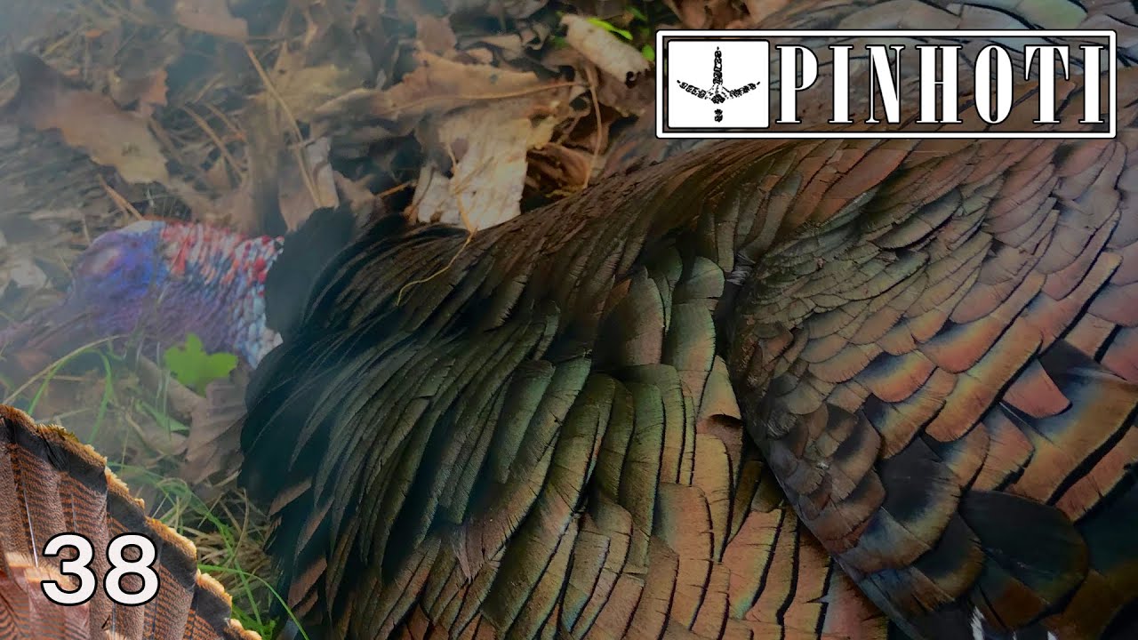 LUCK MATTERS | STAYING with A TOUGH TURKEY | PERSISTENCE puts you in ...