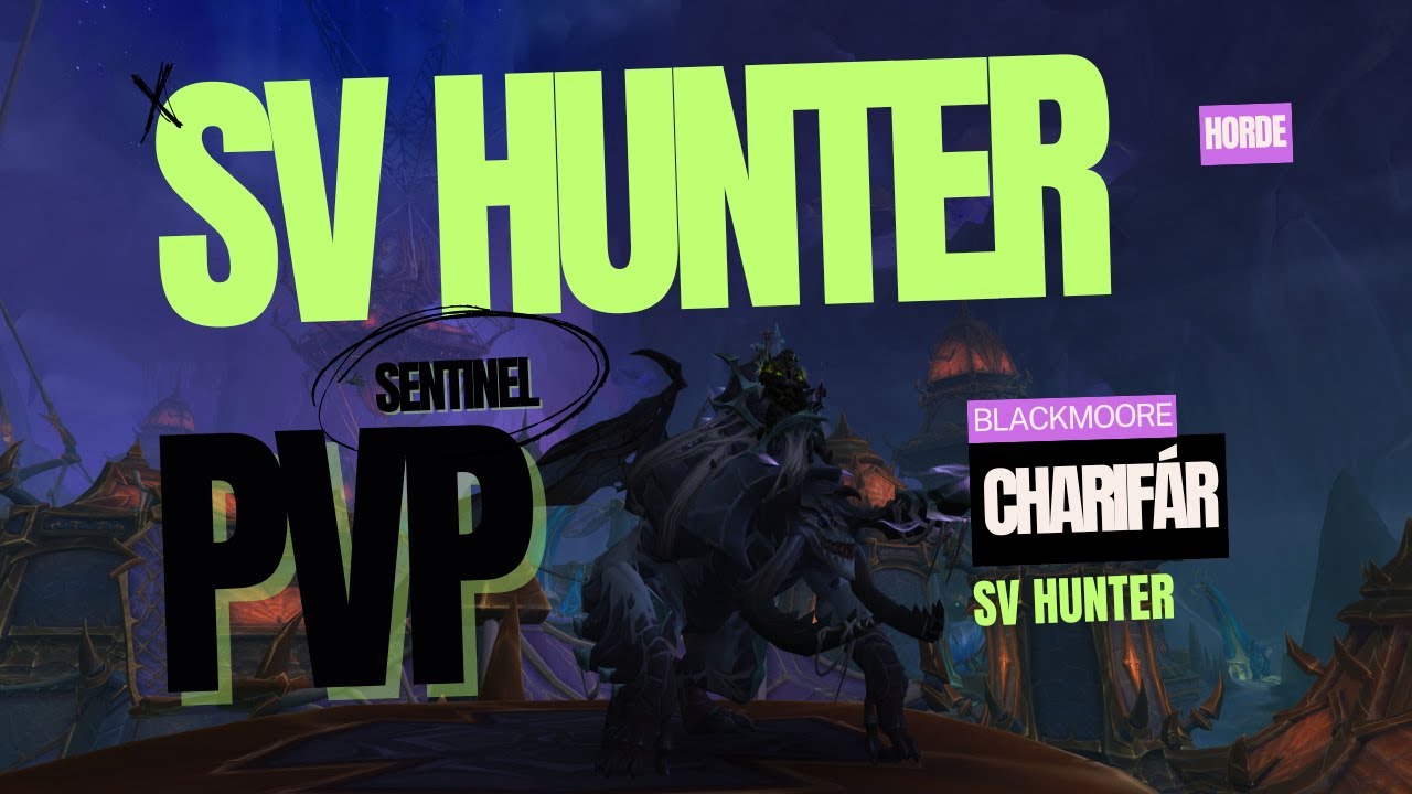 WoW PvP SV Hunter TWW PVP Montage Charifár - YouTube