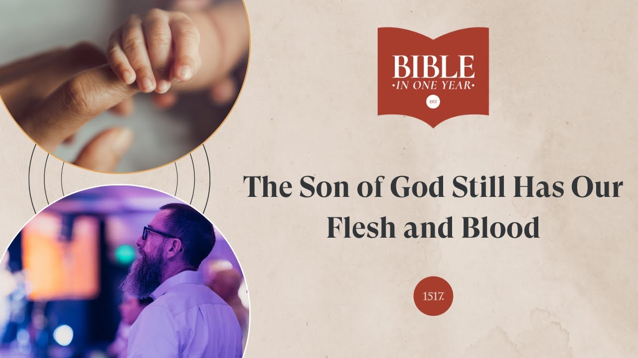 The Son of God Still Has Our Flesh and Blood - Hebrews 2 - YouTube