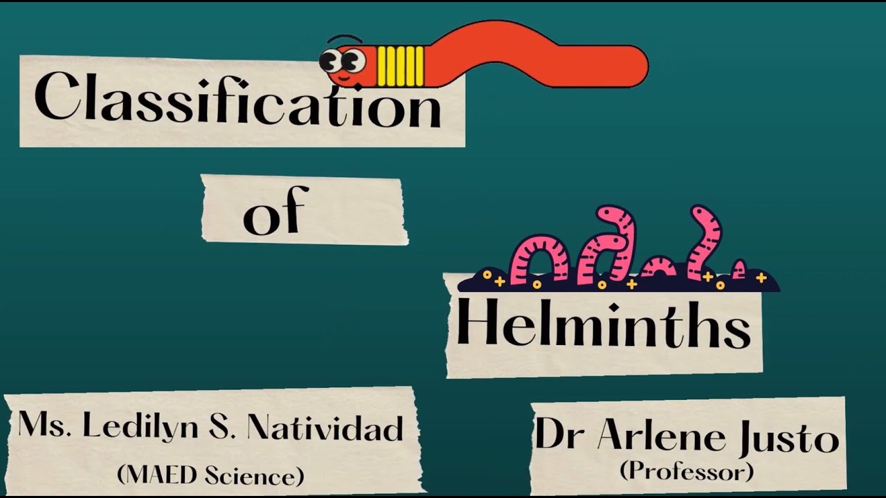 Classification Of Helminths vid - YouTube