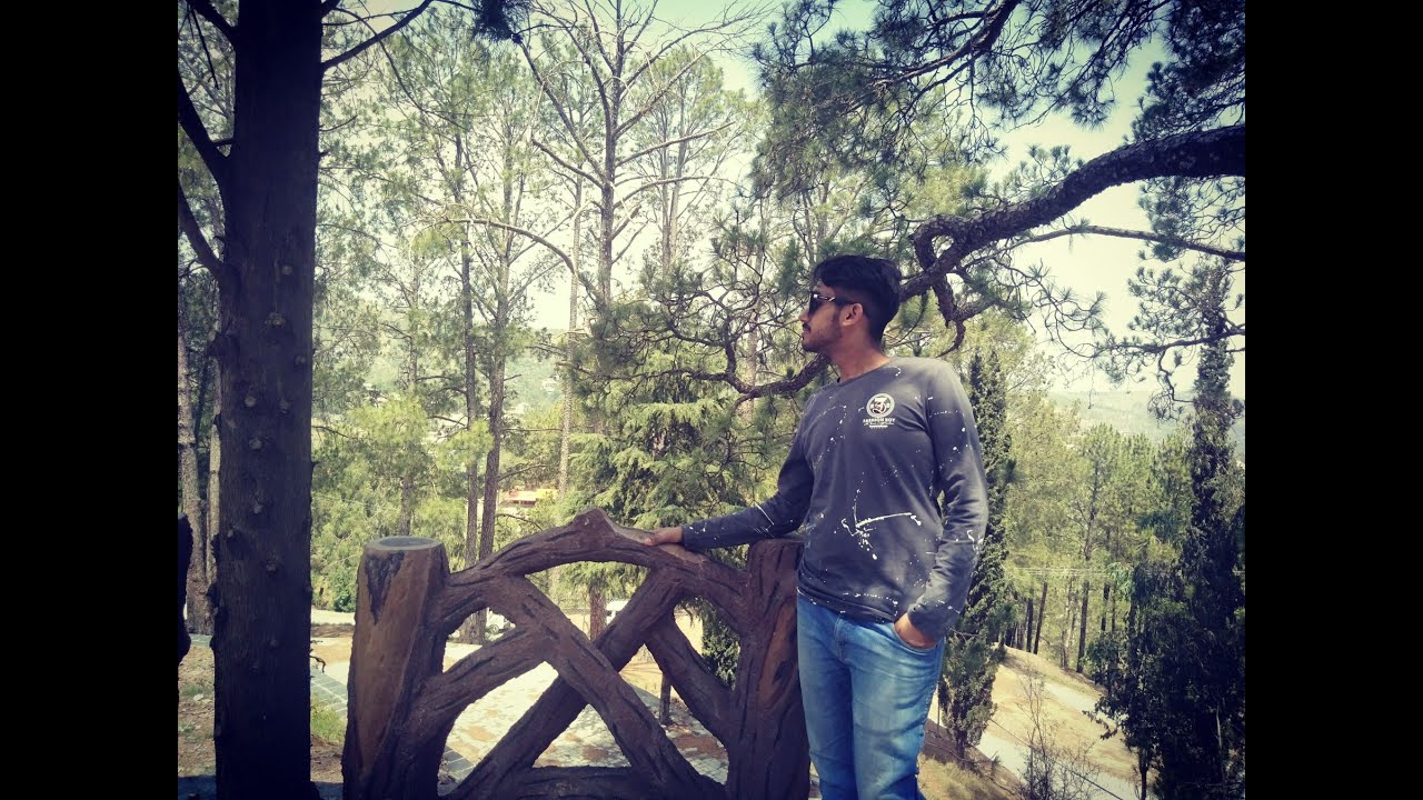 FORESTS TOPICAL PAST PAPERS (PRACTICE 1) - YouTube