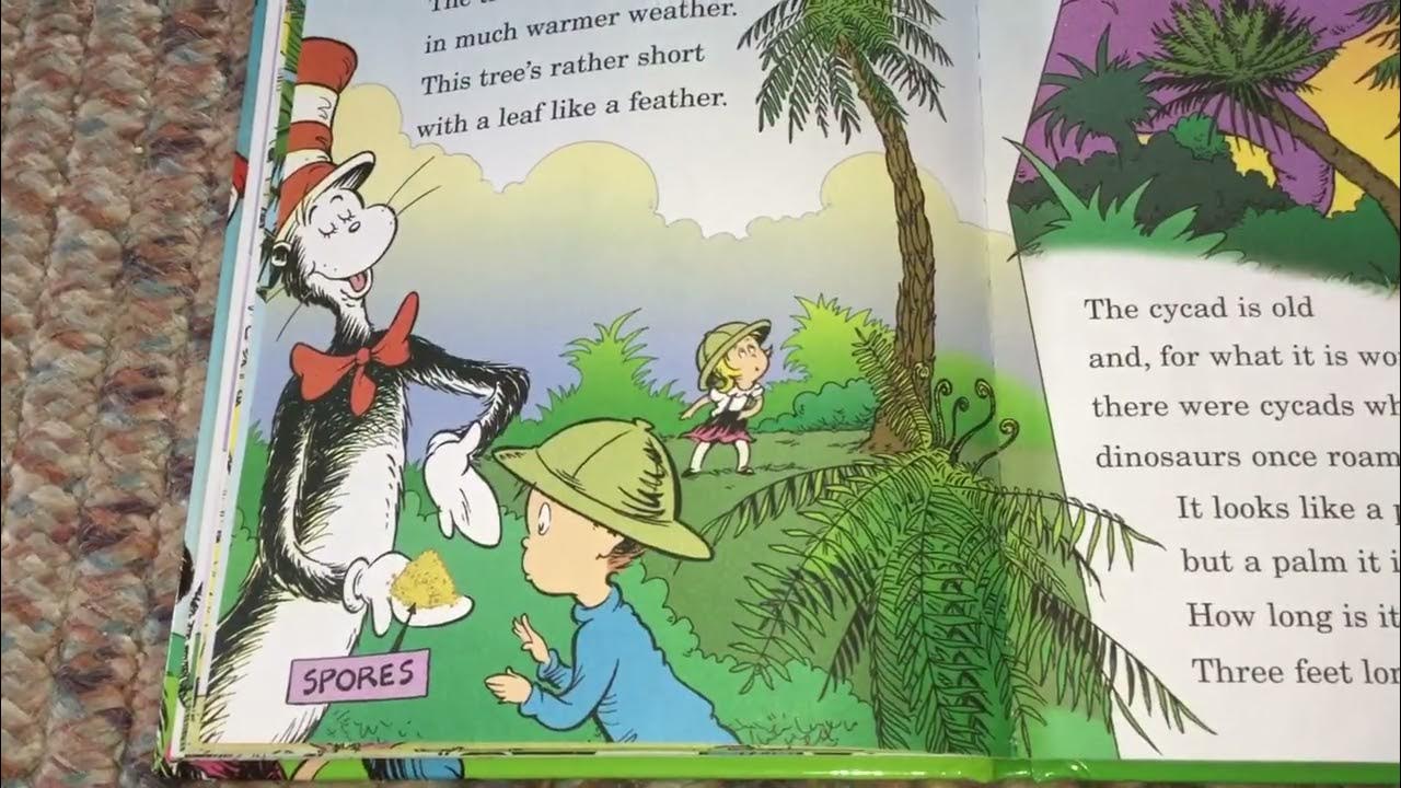 I Can Name 50 Trees Today (part 4) - YouTube