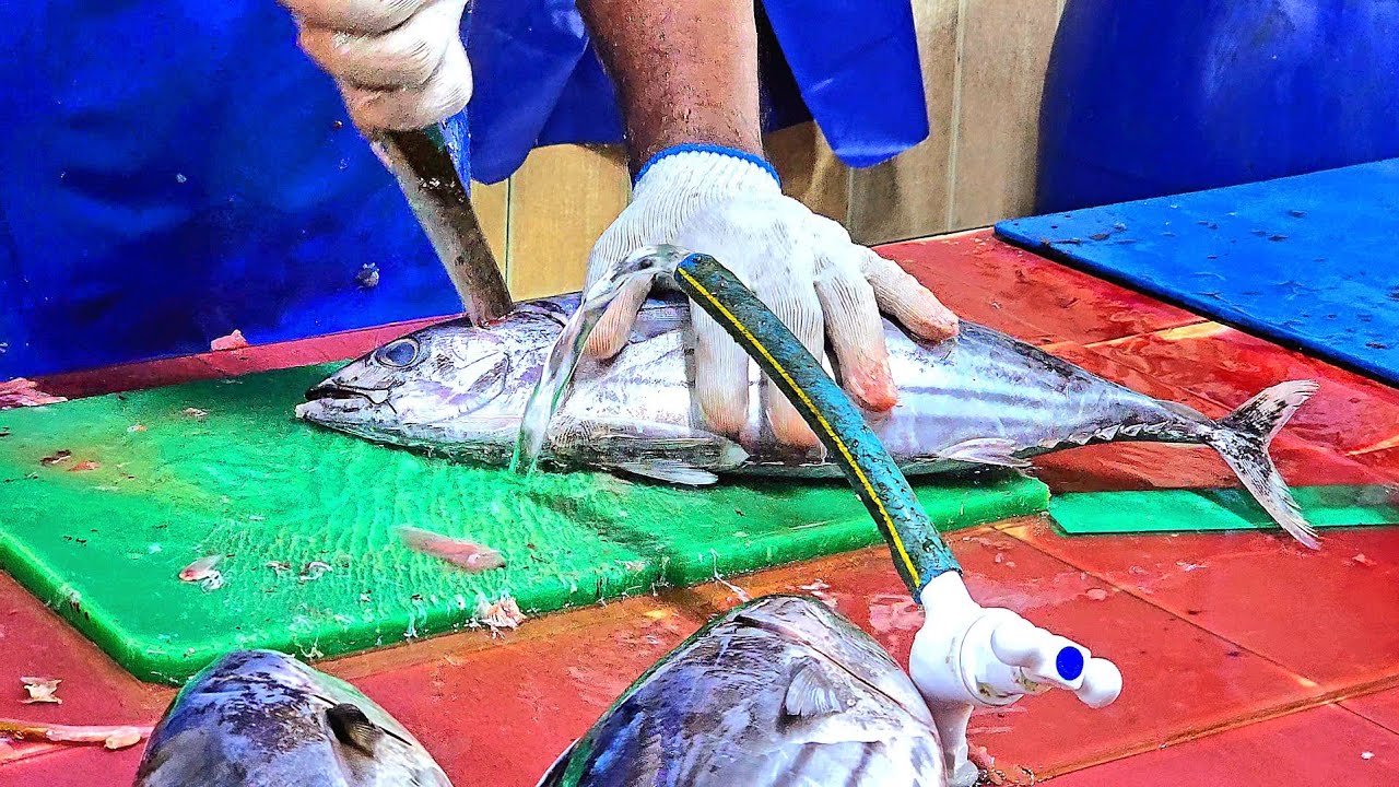 Masterful Tuna Cutting: A Display of Incredible Precision and Skill ...