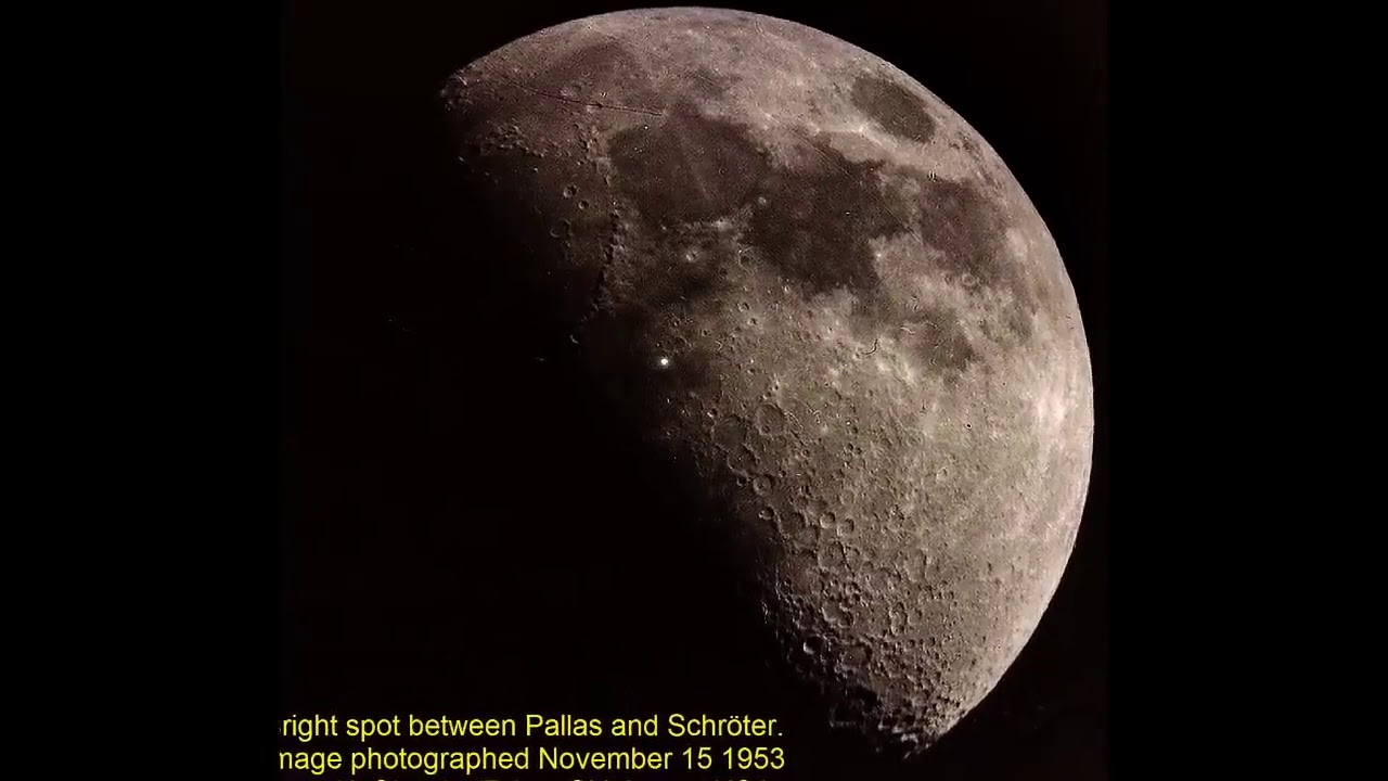 The BIGGEST Conspiracy: PROJECT GOLDEN DRAGON! 😱😱😱 - YouTube