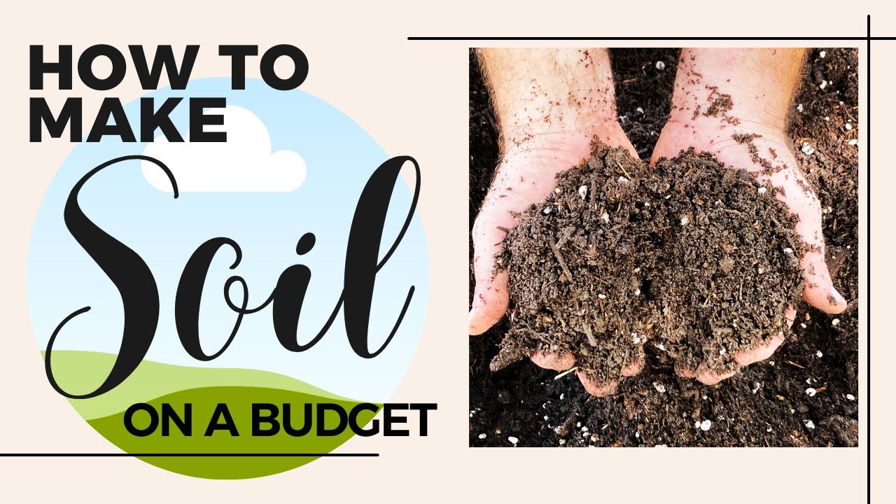 Making Premium Garden Soil on a BUDGET + Planting in the Heat of Summer ...
