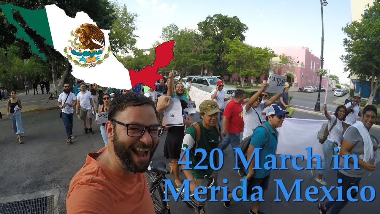 Local 420 March in Merida Mexico - Medical Marijuana Awareness in ...