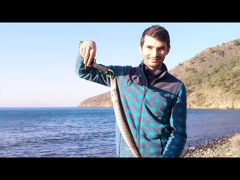At çek ile barracuda(deniz turnasi) avı