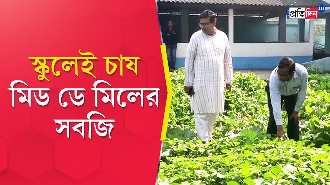 Goghat High School: Vegetables are grown in School, exceptional ...