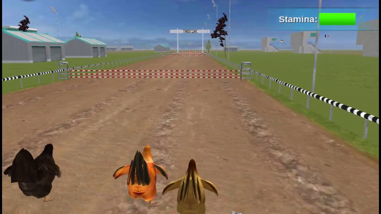 Rooster - Animal Racing Game - YouTube