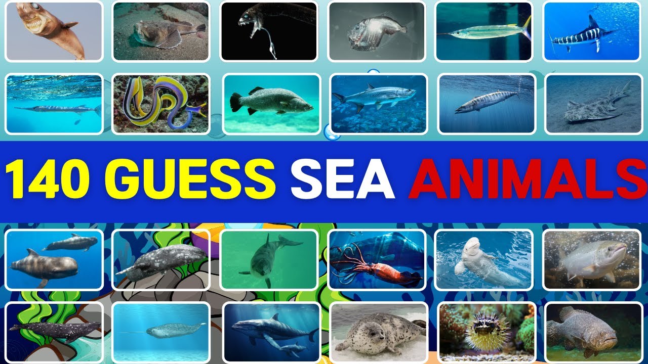 Guess 140 Animals|3-Second Sea Animals Challenge|Guess the Ocean ...