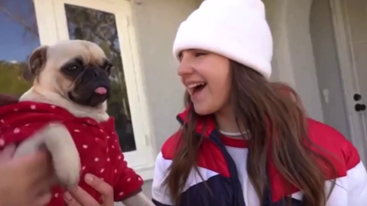 Best moments of Frank part #4 (Piper Rockelle) - YouTube