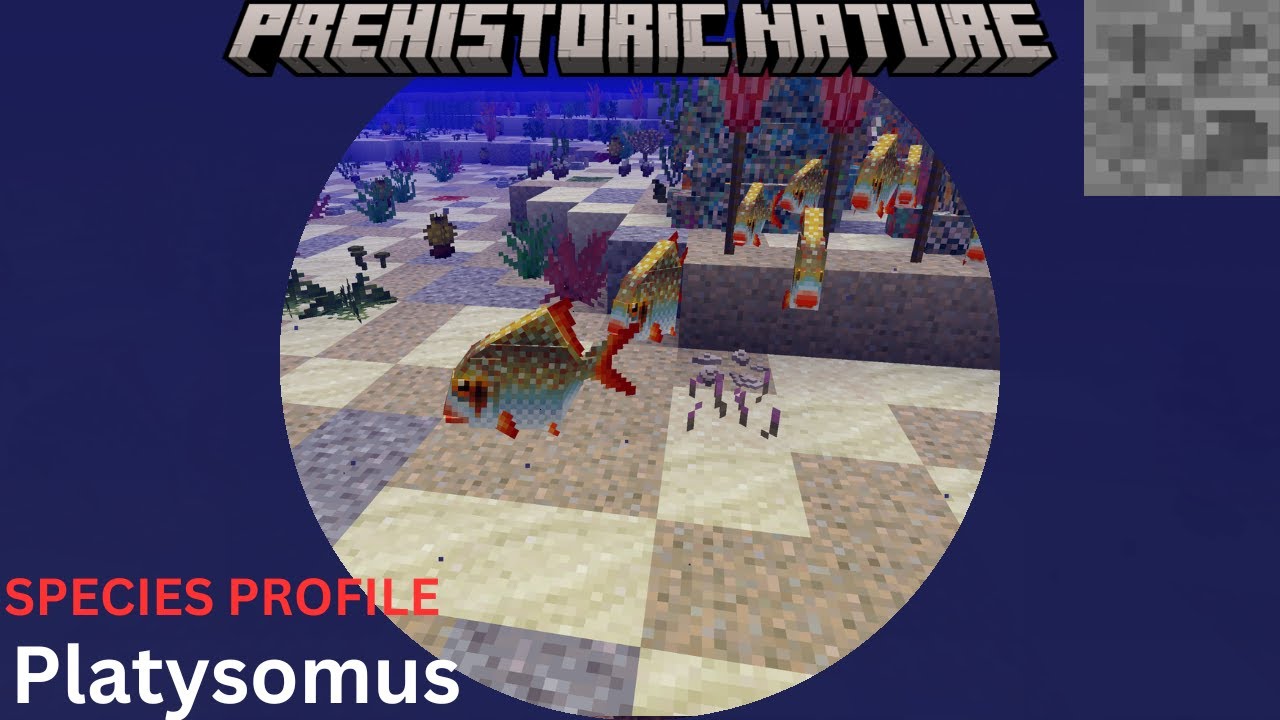 Prehistoric nature - Platysomus species profile - YouTube